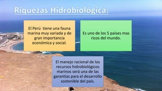 Mar Peruano o Mar de Grau | PPTX