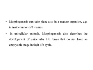 MARPHOGENISIS of bacterial cell in bacillus .pptx