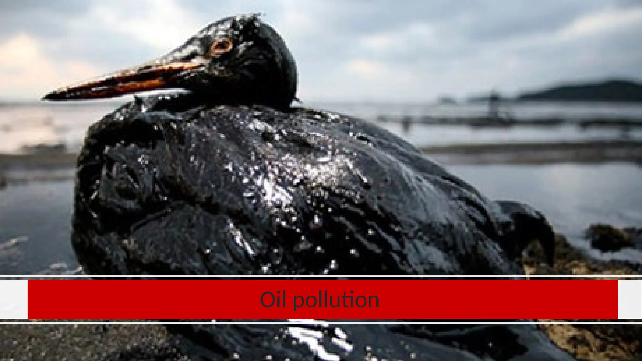 MARPOL ANNEX I and imo requirementsb.ppt