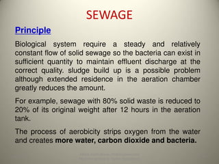 MARPOL Annex IV & Sewage Treatment Plant | PDF