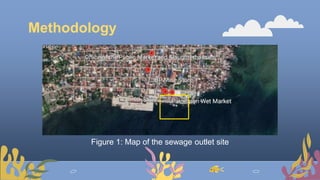 Marine Pollution Research Proposal: Sewage Discharge | PPTX