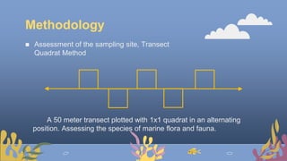 Marine Pollution Research Proposal: Sewage Discharge | PPTX