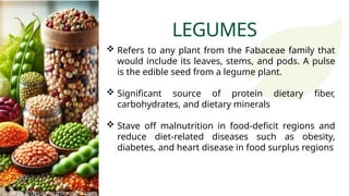 MARQUEZ_AGRONOMICBIOFORTIFICATION OF MAJOR GRAINLEGUMES.pptx