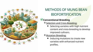 MARQUEZ_AGRONOMICBIOFORTIFICATION OF MAJOR GRAINLEGUMES.pptx
