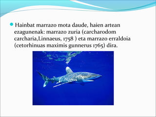 Marrazoa aitor | PPT