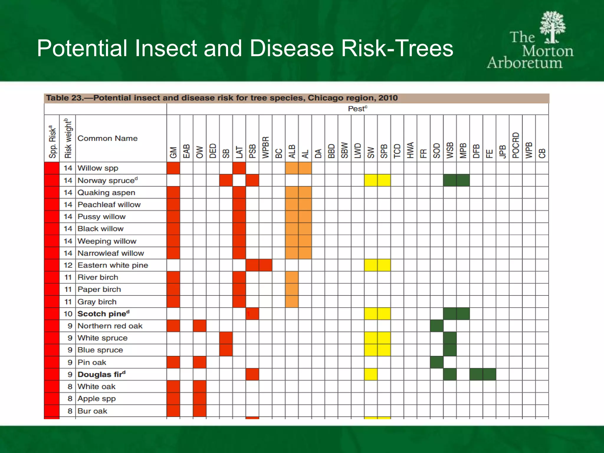 Community Tree Risk Assessment: What's Missing in Your Management Plan ...