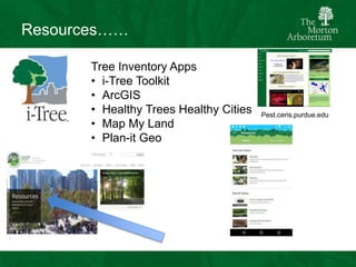 Community Tree Risk Assessment: What's Missing in Your Management Plan ...