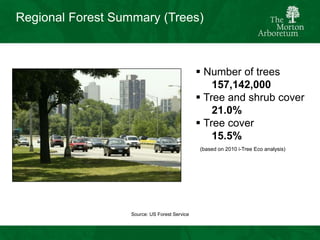 Community Tree Risk Assessment: What's Missing in Your Management Plan ...