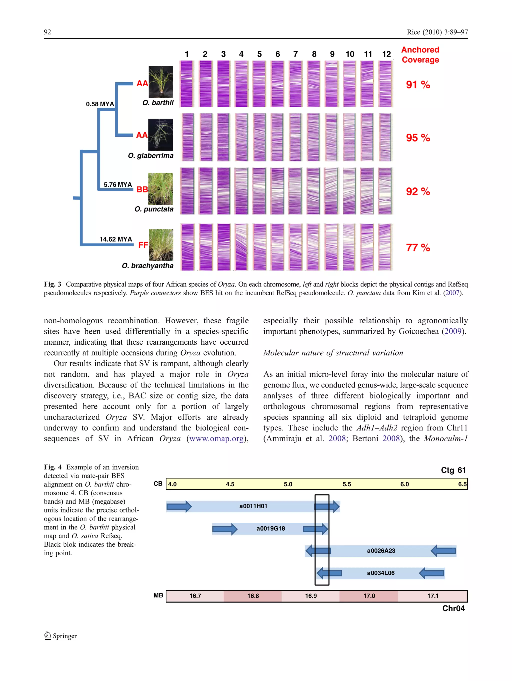 The future of Rice Genomics: sequencing the collective Oryza Genome | PDF