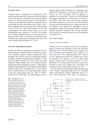 The future of Rice Genomics: sequencing the collective Oryza Genome | PDF