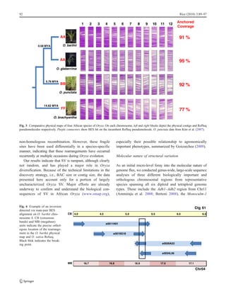 The future of Rice Genomics: sequencing the collective Oryza Genome | PDF