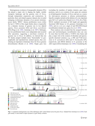 The future of Rice Genomics: sequencing the collective Oryza Genome | PDF