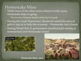 history of deadwood and black hills mining - august 2014 | PDF