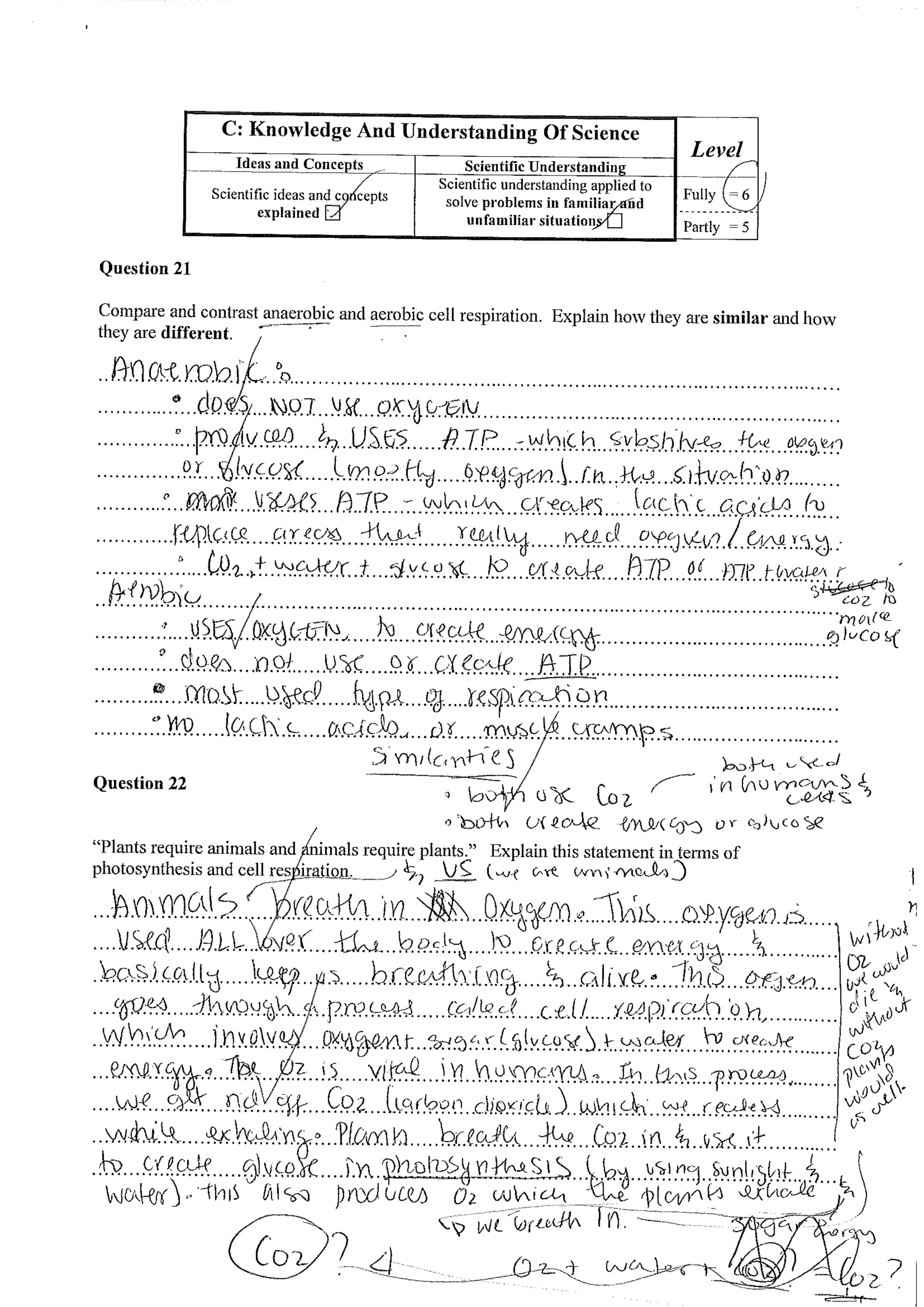 Marsci 4 | PDF