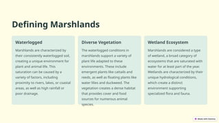 Power point presentation Marsh-Land-Ecosystem.pptx