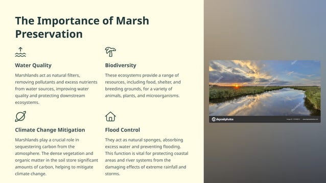 Power point presentation Marsh-Land-Ecosystem.pptx