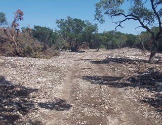 Marshall Ranch Construction Site Photos | PPT