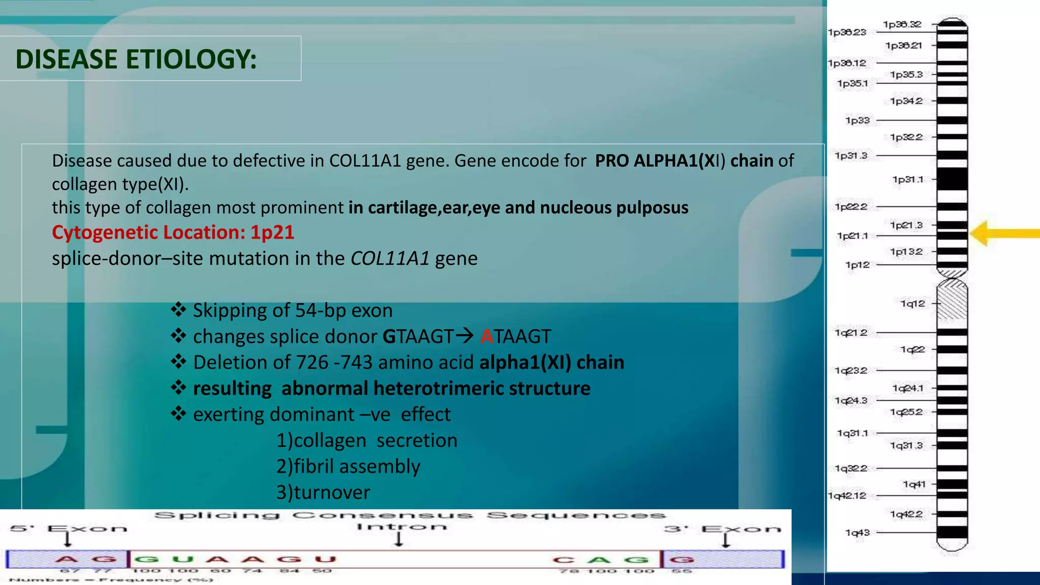 Marshall syndrome | PPT