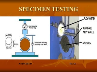 Marshall test | PPTX