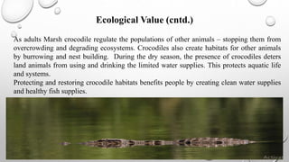 Value and Status of marsh crocodile .pptx