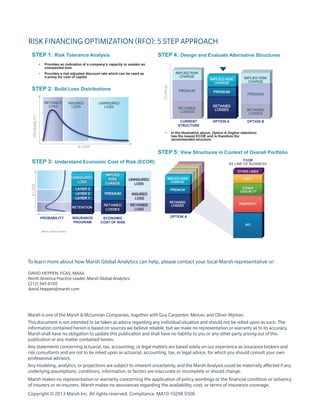 Marsh Risk Financing Optimization | PDF