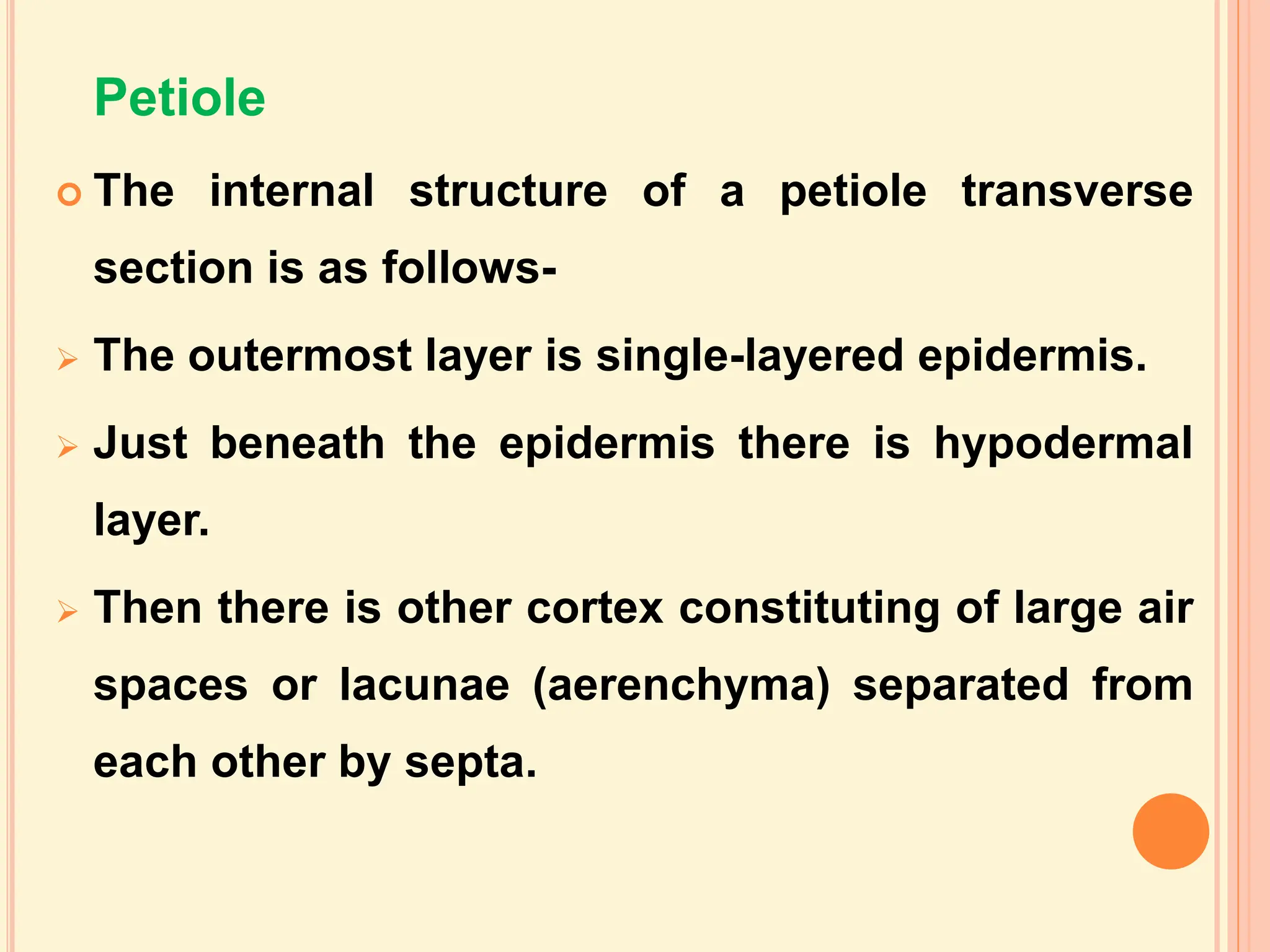 MARSILEA notes in detail for II year Botany.ppt
