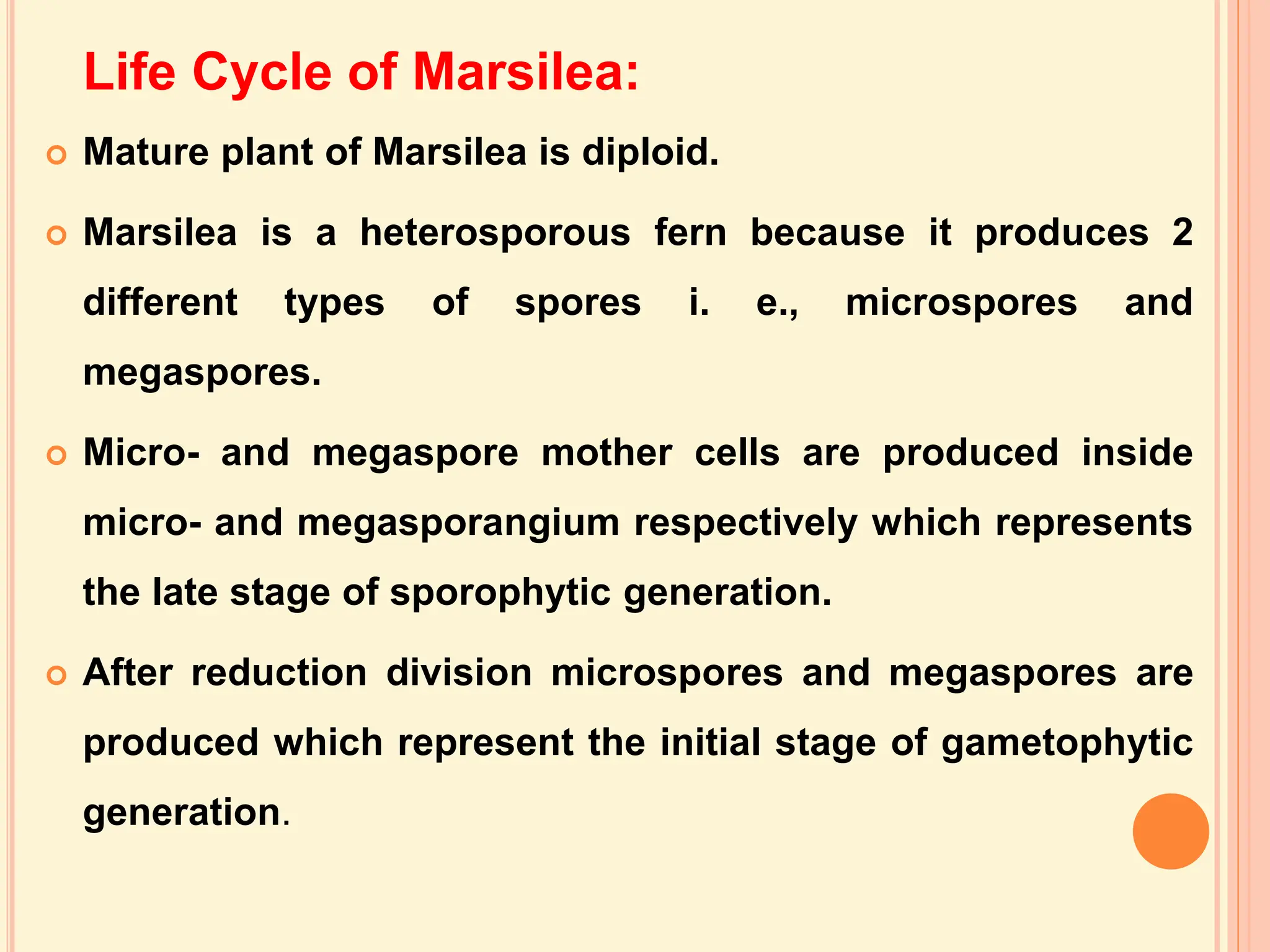 MARSILEA notes in detail for II year Botany.ppt