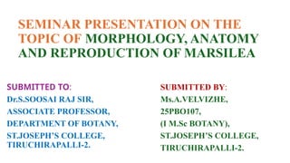 Comprehensive Seminar on Morphology, Anatomy, and Reproduction of ...