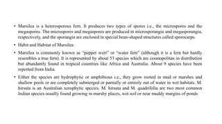 Marsilea details | PPTX