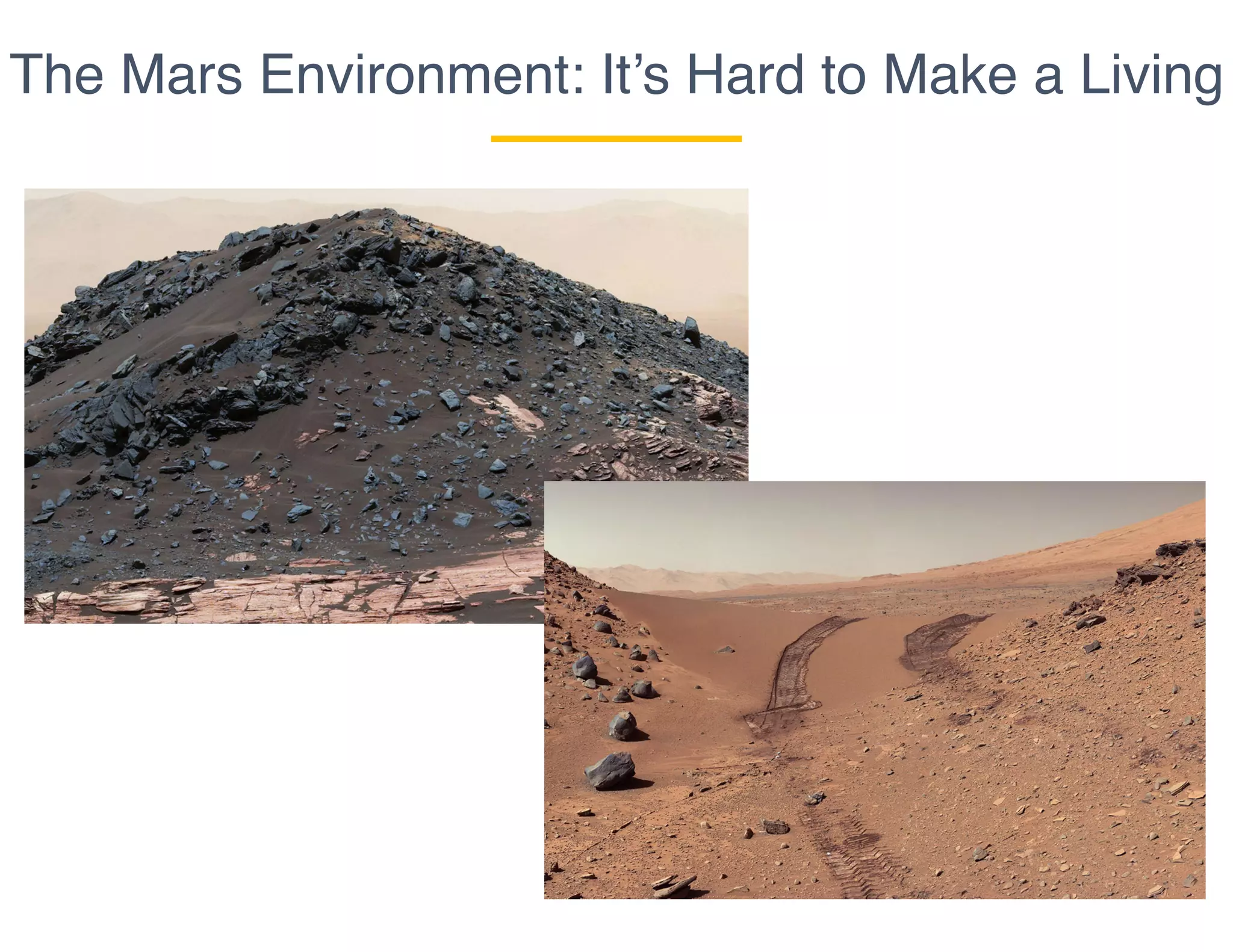 Microbial Diversity Part 6: Life on Mars? | PPT | Free Download