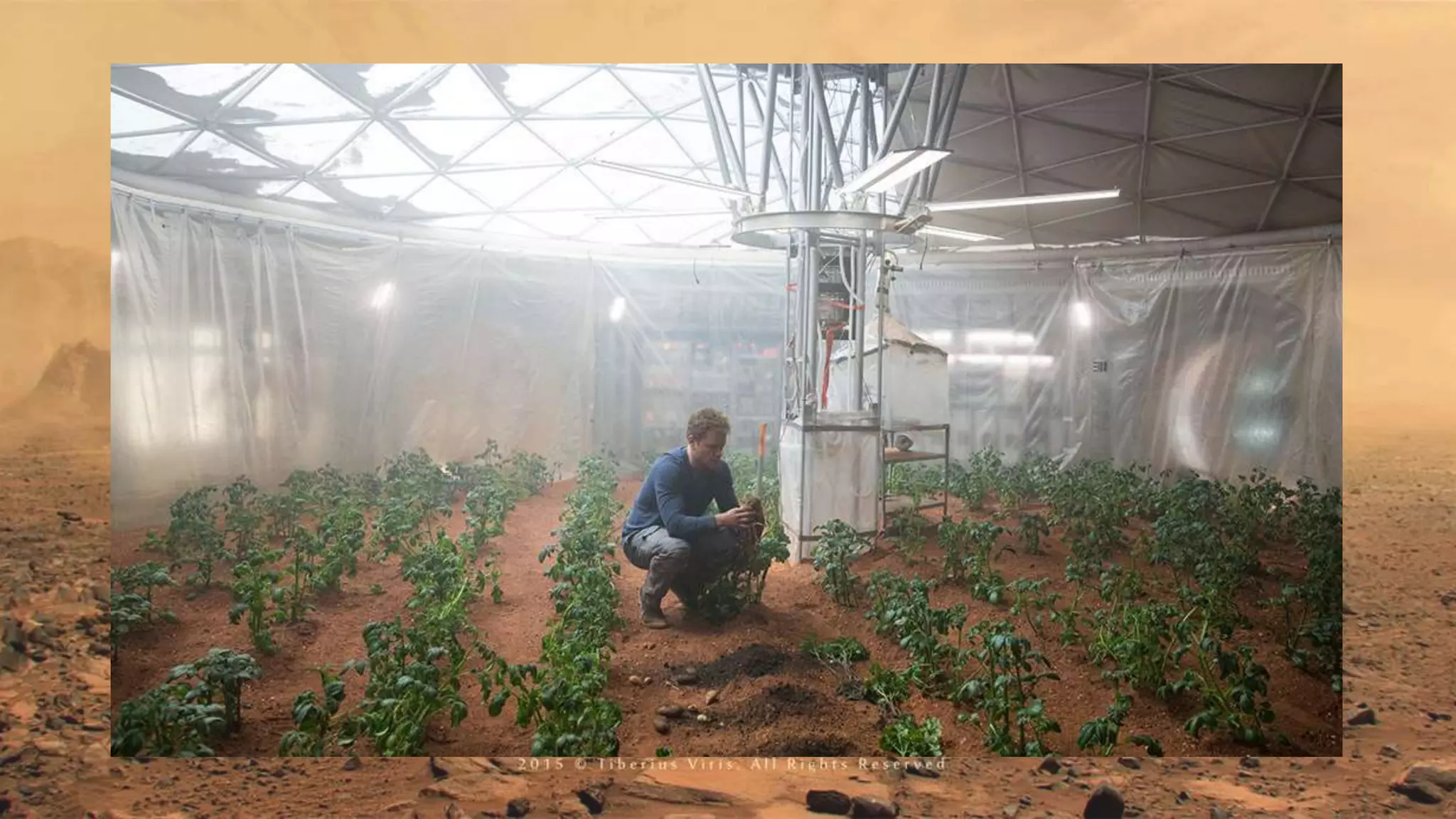 Marsovac mirjana jevtić vii3 | PPTX