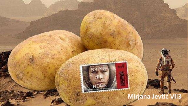 Marsovac mirjana jevtić vii3 | PPTX