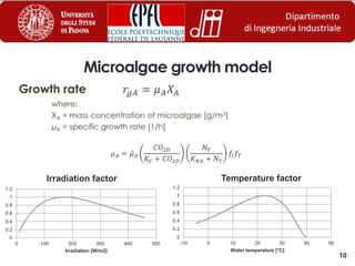 Master Thesis Presentation Matteo Marsullo Microalgae Growth Modeling | PPT