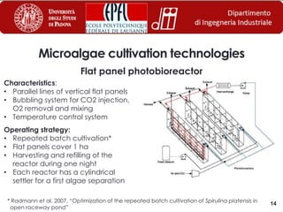 Master Thesis Presentation Matteo Marsullo Microalgae Growth Modeling | PPT