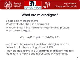 Master Thesis Presentation Matteo Marsullo Microalgae Growth Modeling | PPT