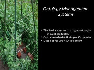 An Introduction to Onological Modeling | PPT