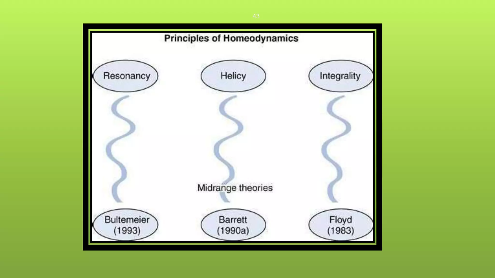 Martha rogers theory | PPTX