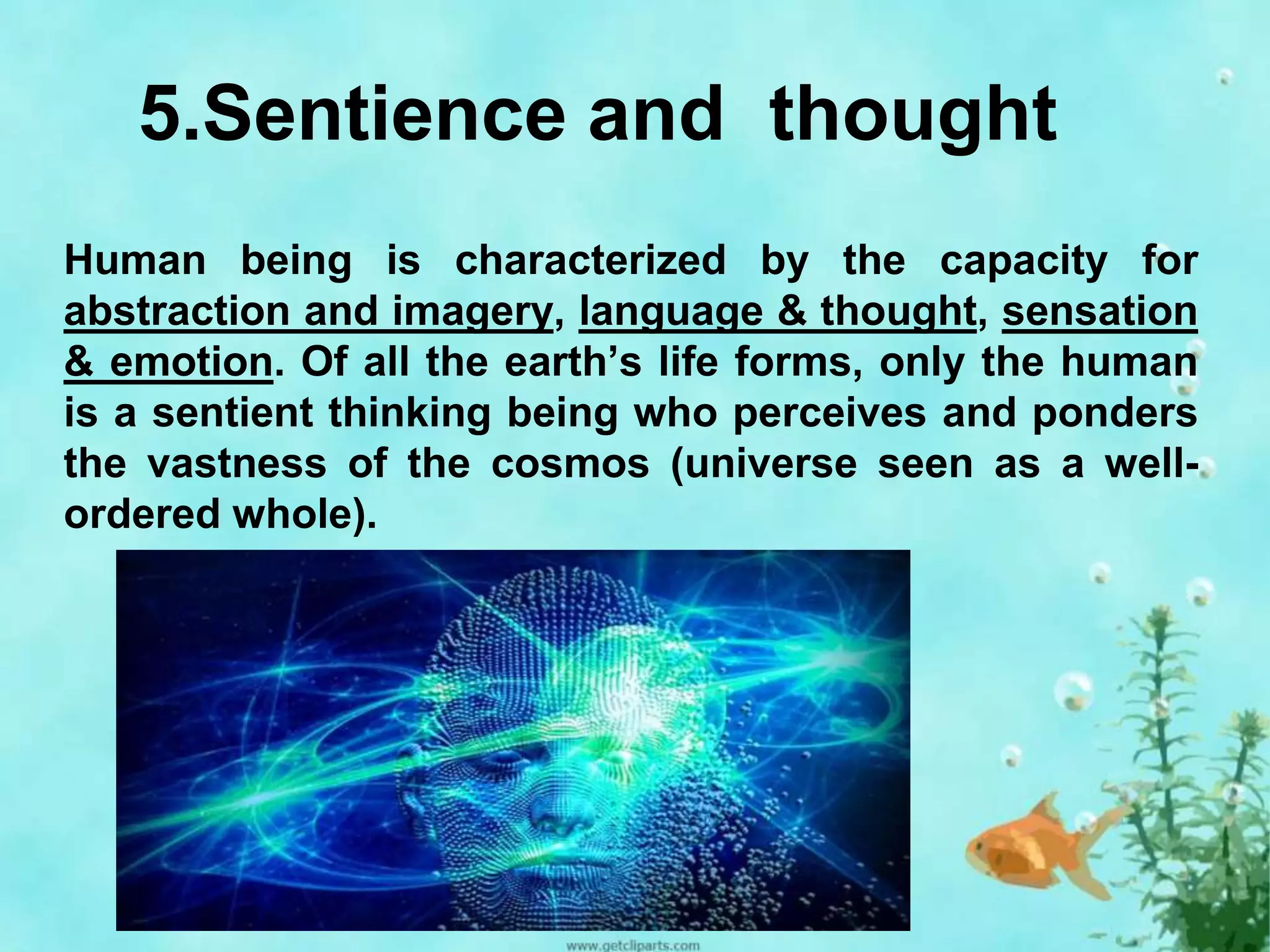 Martha Rogers Theory(SUHB) -Ms. Ritika Soni | PPTX