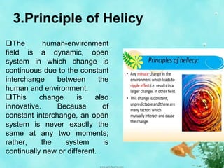 Martha Rogers Theory(SUHB) -Ms. Ritika Soni | PPTX