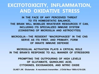 Martha Stark MD – 4 Jun 2010 – EMFs and the Excitotoxic Cascade.pptx