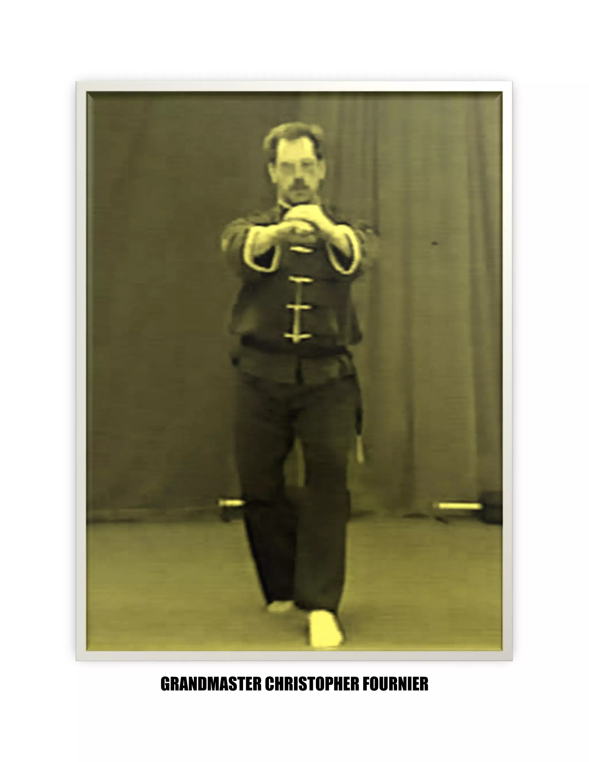 Martial Arts grandmaster Christopher Fournier - Five Animal Kung Fu | PDF