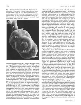 Martin | PDF