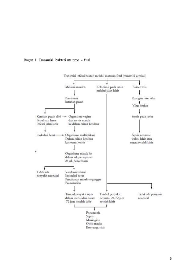 Martina patofisiologi sepsis neonatorum | DOCX