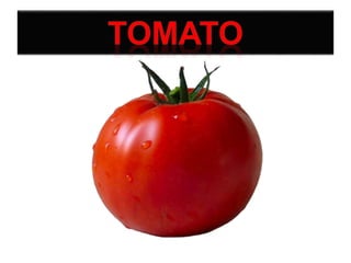 Teaching English for Young Learner - Fruit | PPTX