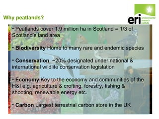 Peatlands: Unique Environments - Unique Challenges [Martina Burtscher ...