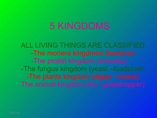 CLASSIFICATION LIVING THINGS(Marta,Martina,Laia). | PPT