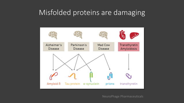 Martin Borch Jensen - The Science of Aging 2019 | PDF