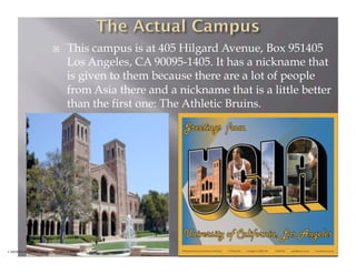 Martin Cardona | PPT