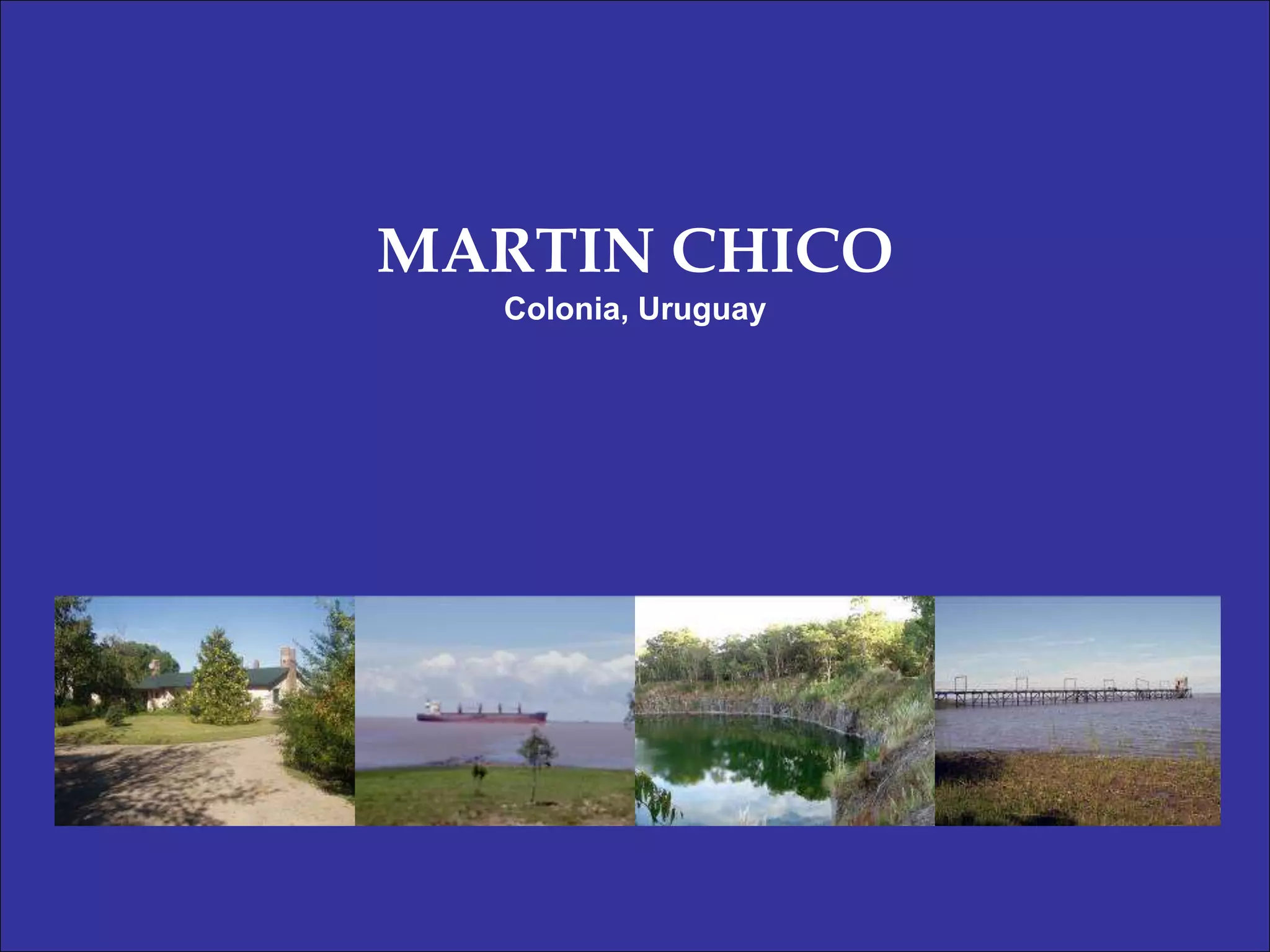 Martin chico uruguay | PPT