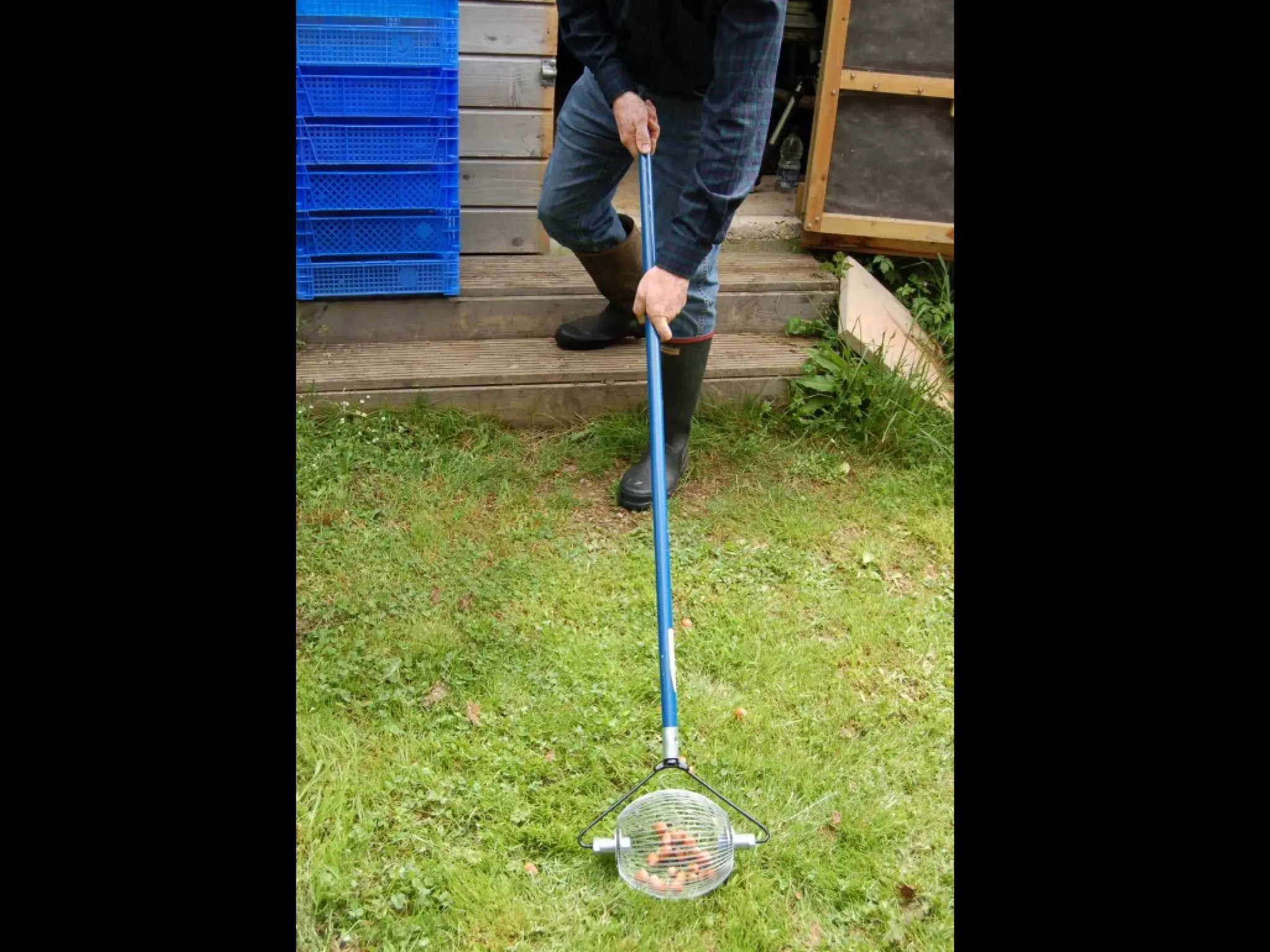 A Tour of Martin Crawford's Forest Garden | PDF